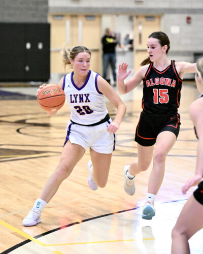 Lynx can’t get past Bulldogs | News, Sports, Jobs - The Freeman Journal